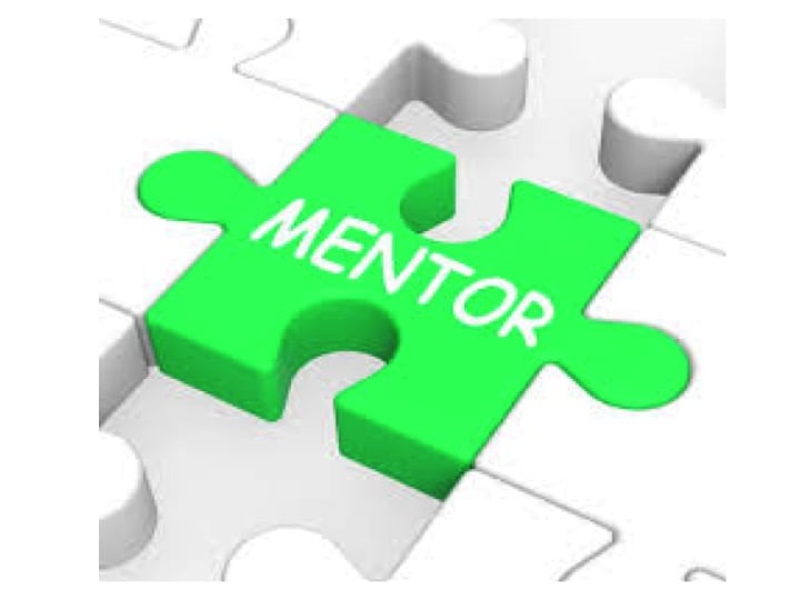 Mentoring Starter Package: Everything you need to setup a mentoring ...