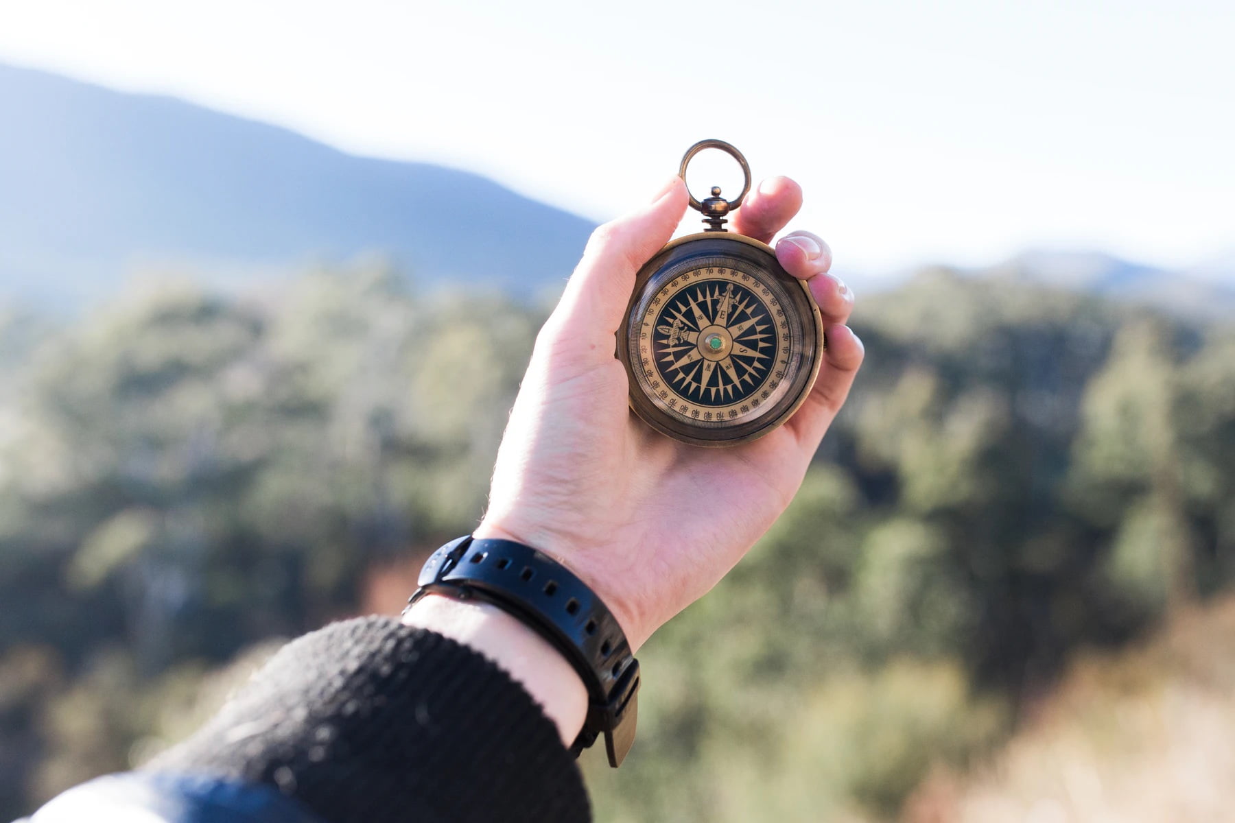 Setting direction in a mentoring relationship - Coach Mentoring