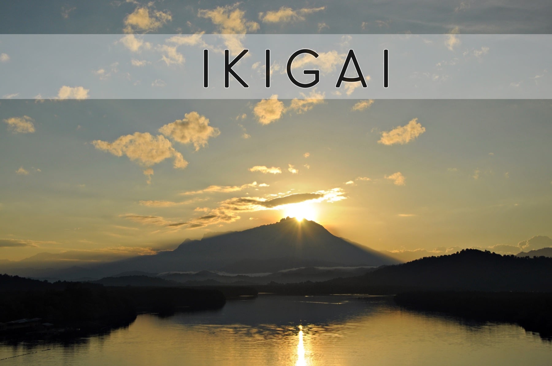 Using Ikigai in coaching and mentoring - Coach Mentoring